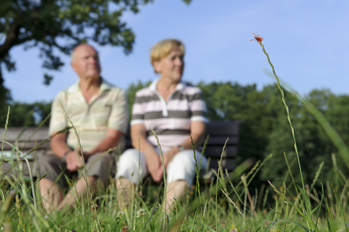 Borelija je povzročiteljica borelioze - Oskar Veliki